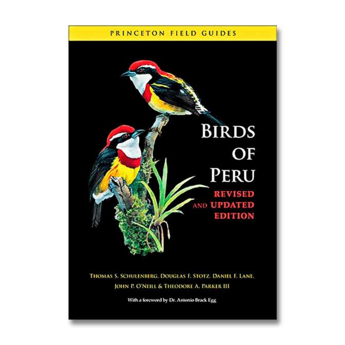 Birds of Peru