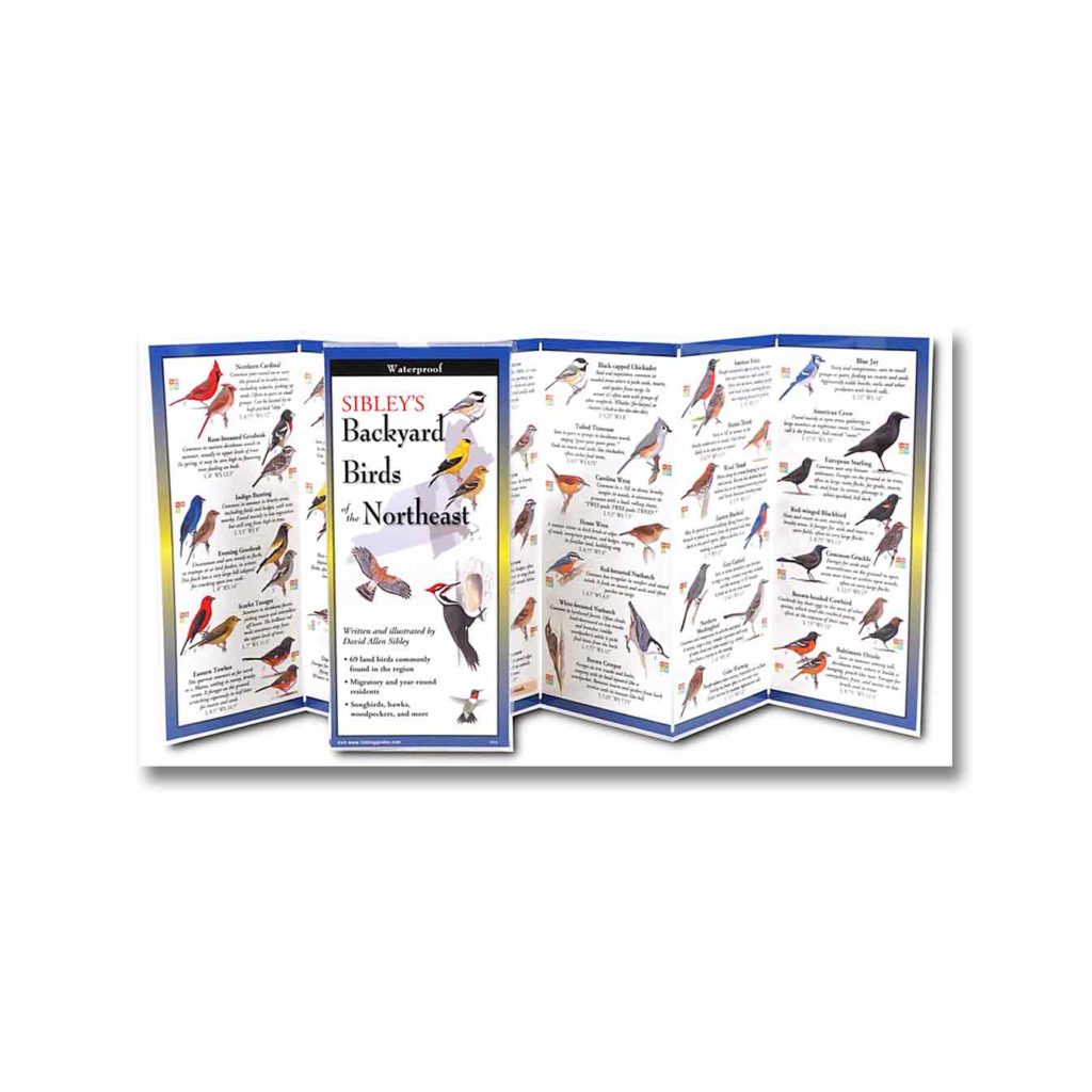 Folding Field Guide Sibley's Backyard Birds of the Northeast
