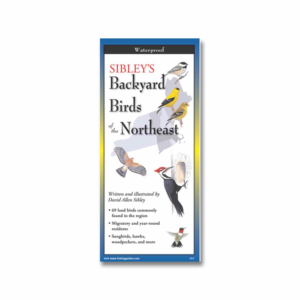 Folding Field Guide Sibley's Backyard Birds of the Northeast
