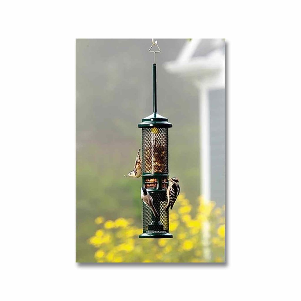 Brome Squirrel Buster Nut Feeder