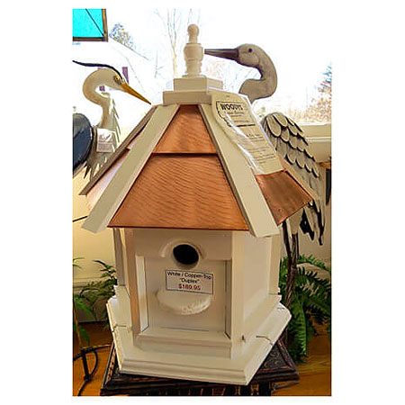 Home - The Audubon Shop Birder Supplies, Birdwatching Supplies, Madison, CT