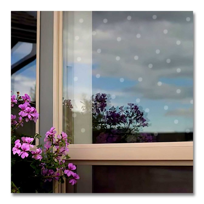 WindowAlert UV Liquid