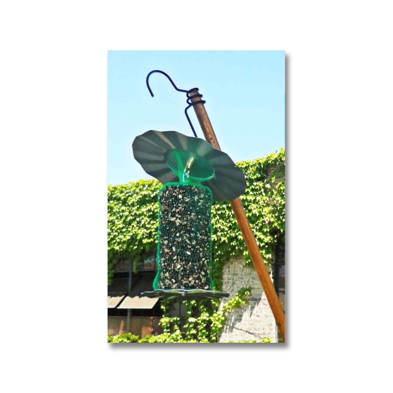 Broom Hook Spill Magic Telescopic Broom Handle (5 Unit Outdoor Broom