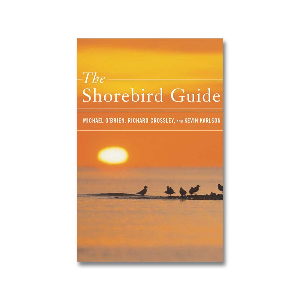 The Shorebird Guide