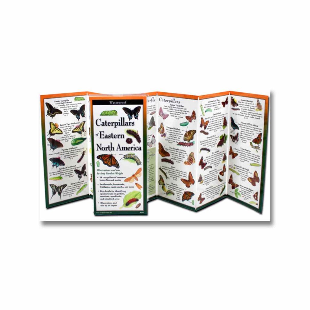 Folding Field Guide Caterpillars of Eastern North America