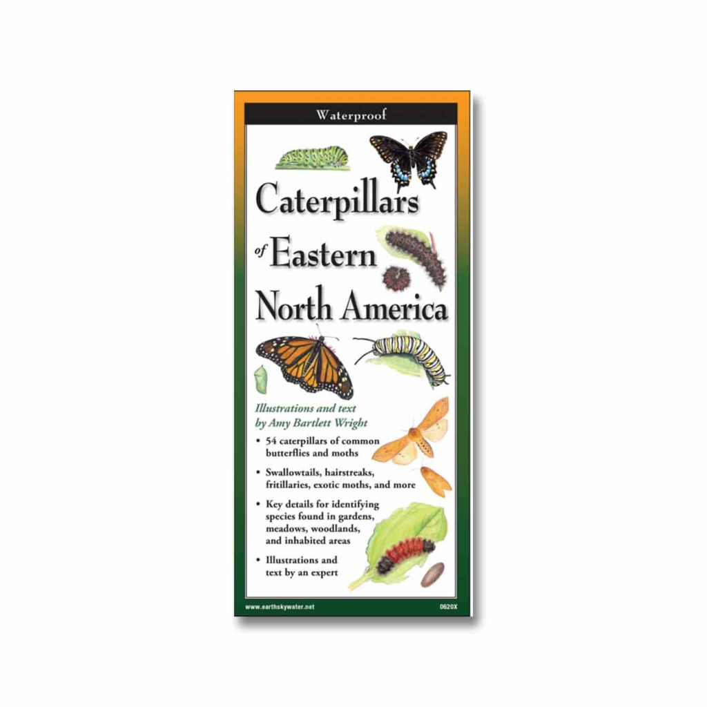 Folding Field Guide Caterpillars of Eastern North America