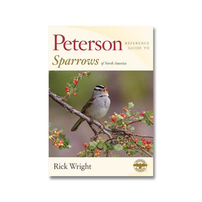 Peterson Reference Guide to Sparrows of North America