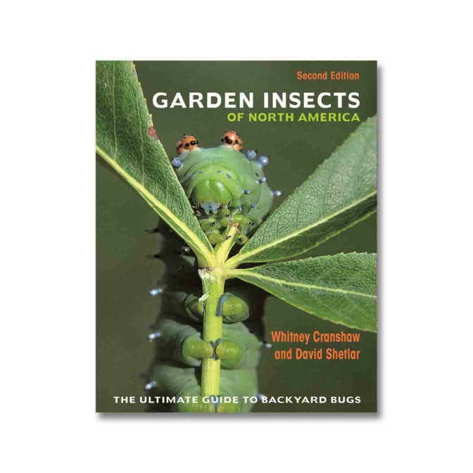 Garden Insects of North America The Ultimate Guide to Backyard Bugs ...