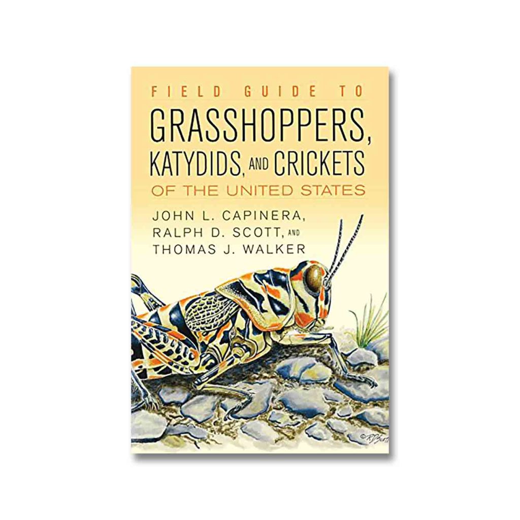 Field Guide to Grasshoppers Katydids and Crickets of the US