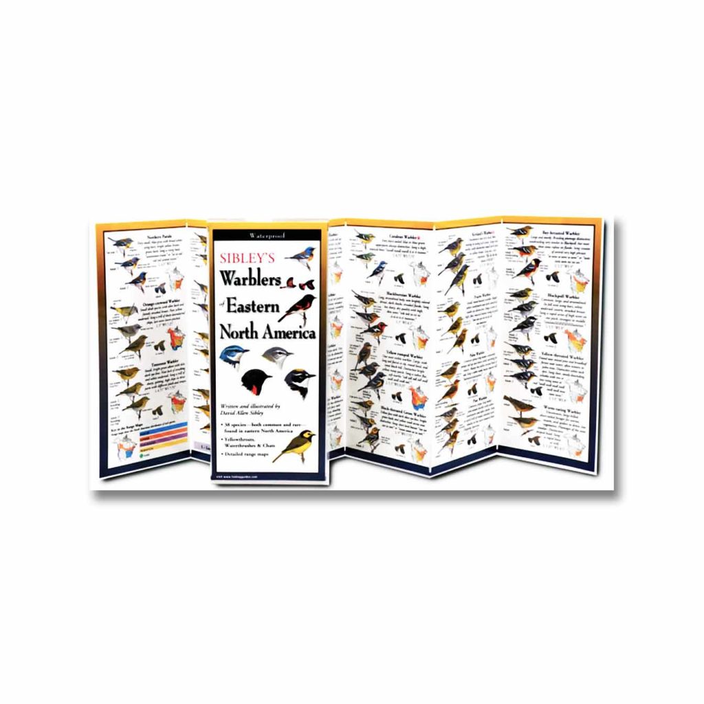 Folding Field Guide Sibley's Warblers of Eastern North America