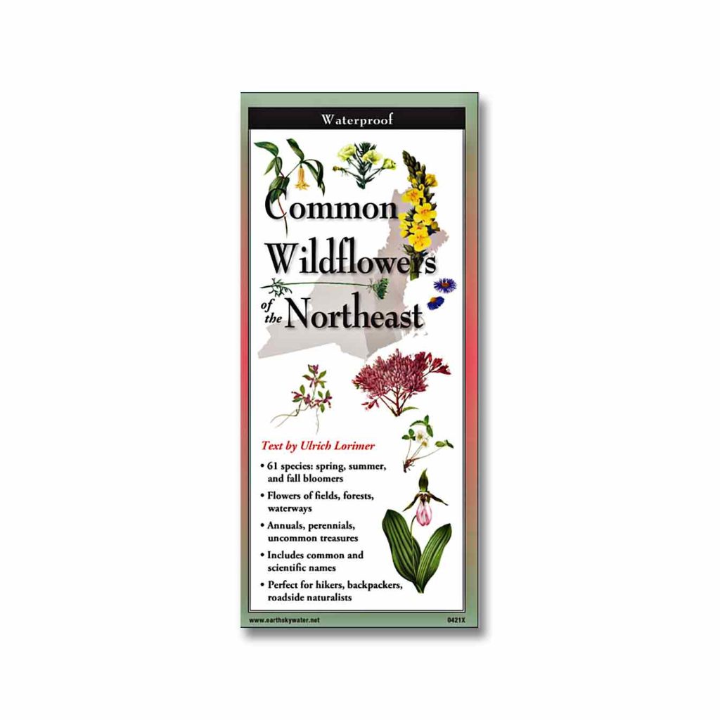 Folding Field Guide Wildflowers of the Northeast