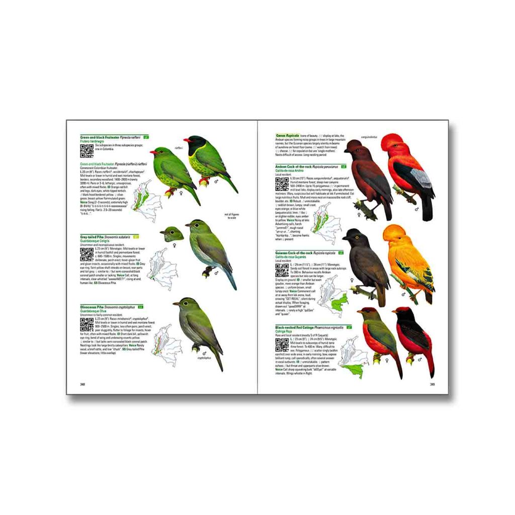 Birds of Colombia