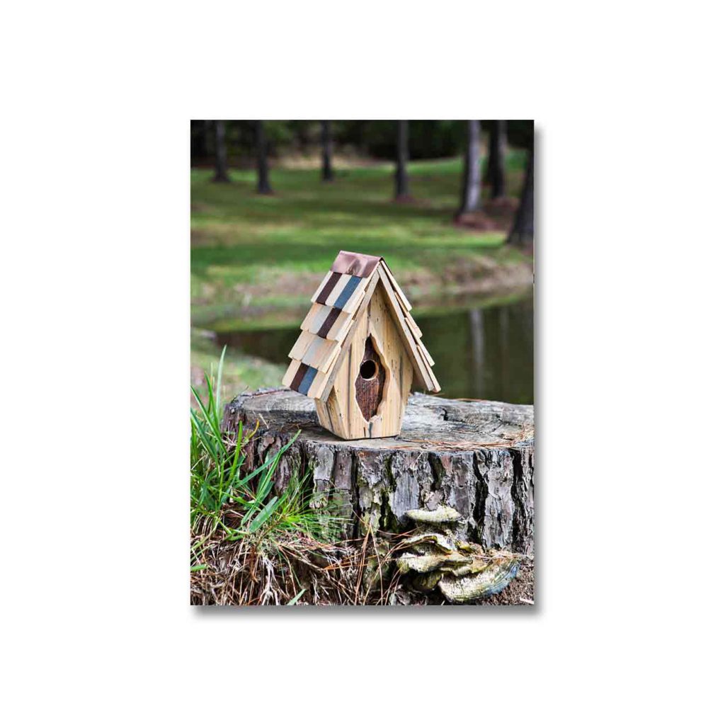 Bird Houses and Nesting Boxes - The Audubon Shop Birder Supplies ...