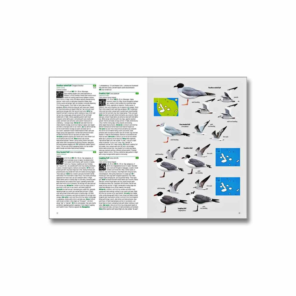 Birds and Mammals of the Galapagos