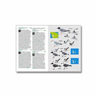 Birds and Mammals of the Galapagos