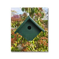 Bird Houses and Nesting Boxes - The Audubon Shop Birder Supplies ...