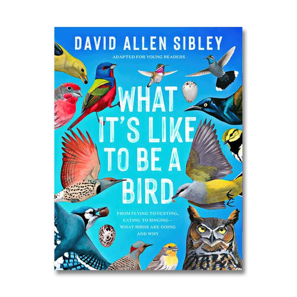 What it's Like to Be a Bird Adapted for Young Readers