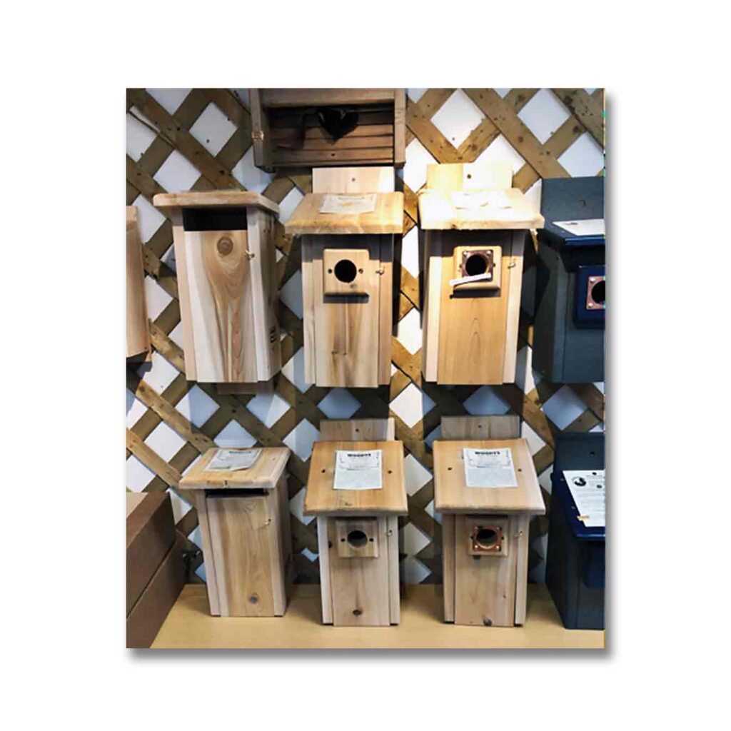 Cedar Bluebird Nesting Box