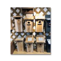Cedar Bluebird Nesting Box