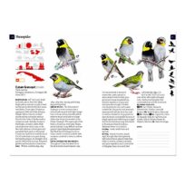 Endemic Birds of Cuba Comprehensive Field Guide