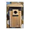 Cedar Bluebird Nesting Box